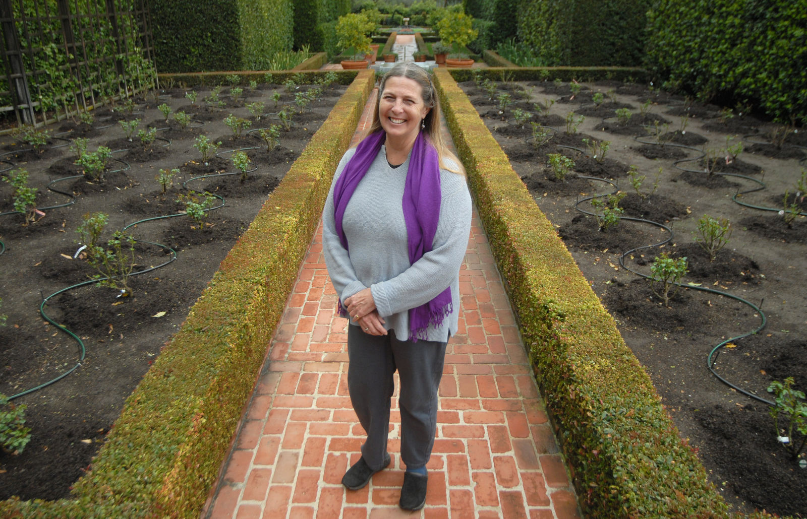 Curator and Columnist Virginia Hayes Dies