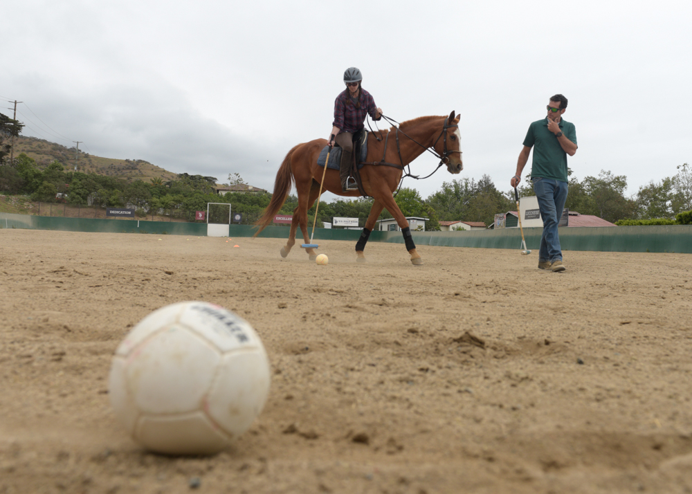 Lessons in Playing Polo